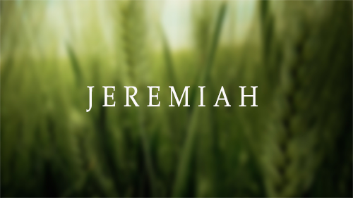 Seven steps to preaching a long biblical book (Jeremiah)